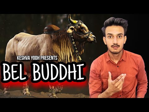 Bel Buddhi. बैल बुद्धि।