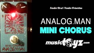 Analog Man Mini Chorus - What To Know & Where To Buy | Equipboard