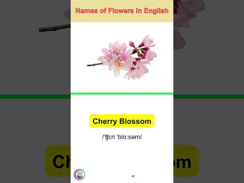 Names of Flowers in English #vocabulary #english #flowers