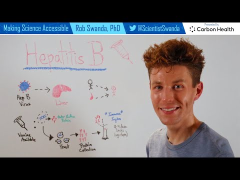 How the Hepatitis B Vaccine Works