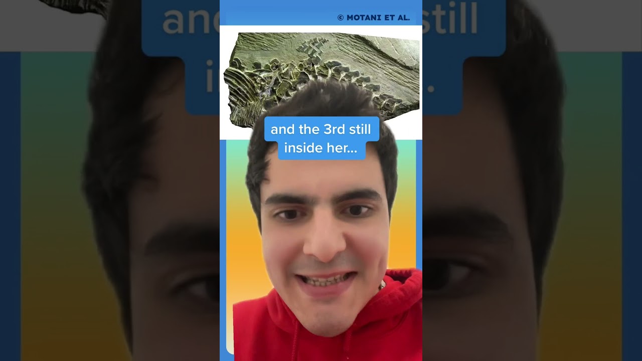 A Very Valuable Discovery About Ichthyosaurs