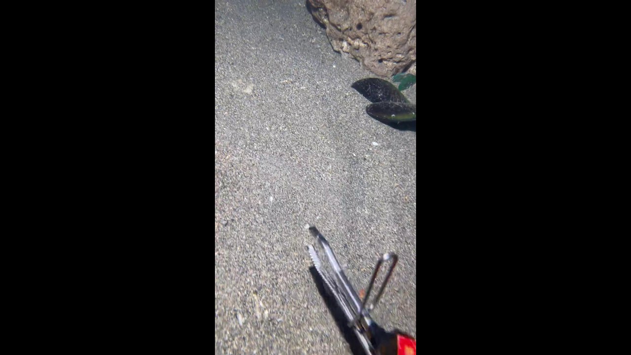 🔴 LIVE 2026-04-06 05:39:44