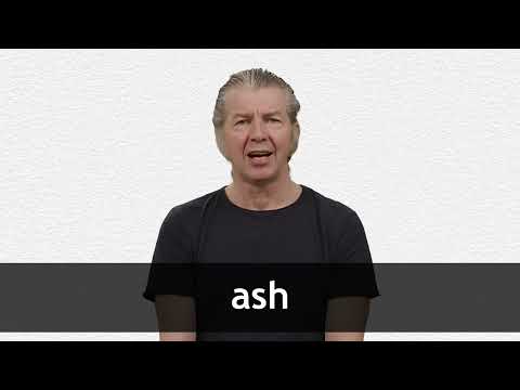 ASH - Definition & Translations | Collins English Dictionary
