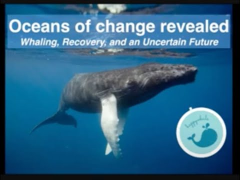 Events – Orcasound