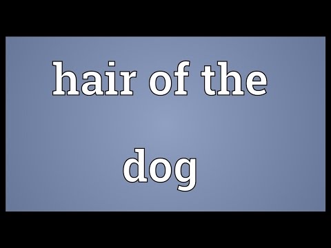 Hair of the dog Meaning