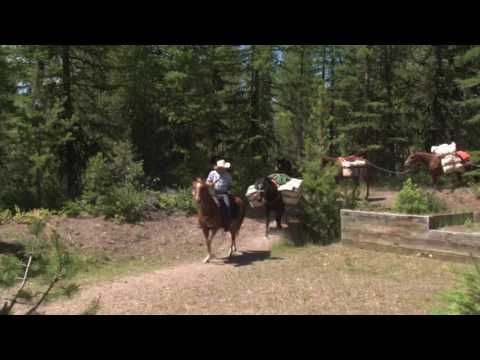 Trailhead Supply Pack Train