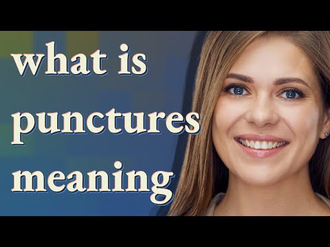 Punctures | meaning of Punctures