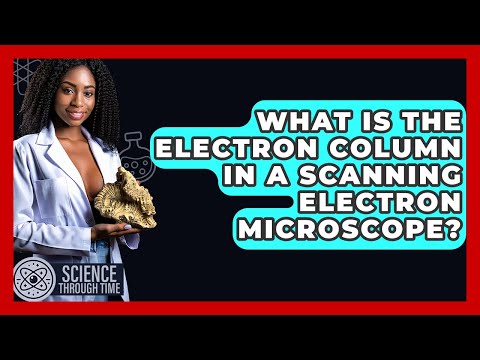 What Is The Electron Column In A Scanning Electron Microscope? - Science Through Time