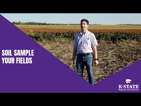 Taking Soil Samples In Field