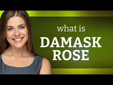Damask rose — meaning of DAMASK ROSE