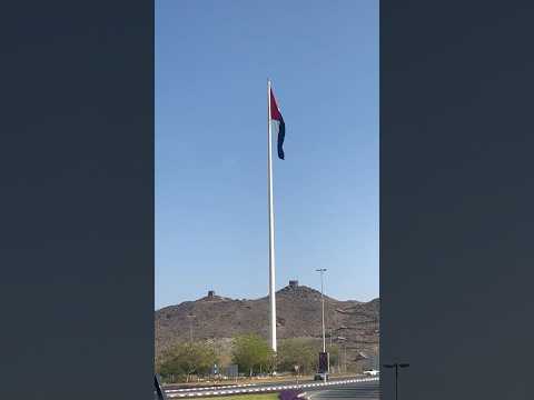 UAE flag Fujairah looking good #trending #garden #dubailfe