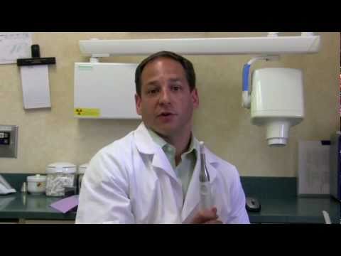 Acierno Dental: New Patient Exam