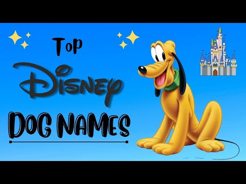 Top Disney Dogs Of All Time - Dog Names