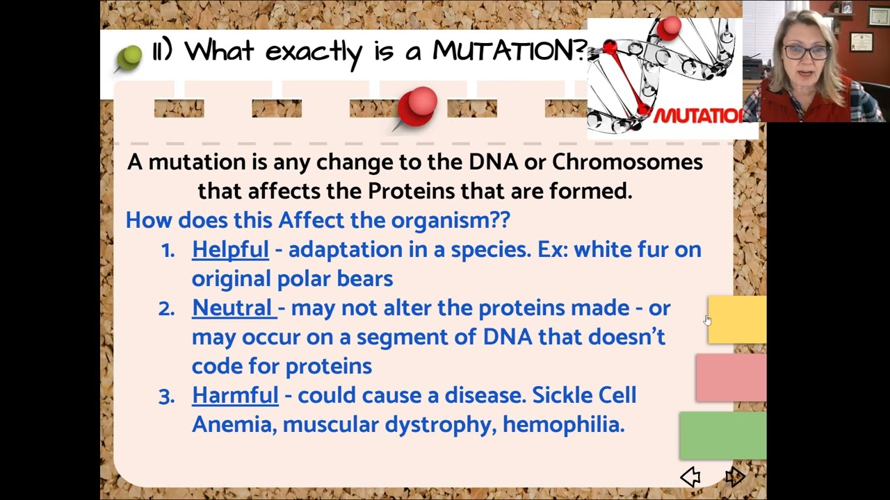 Mutation Notes