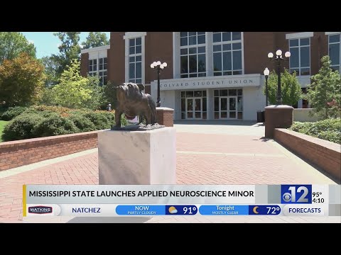 Mississippi State launches applied neuroscience minor