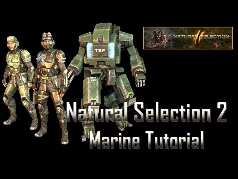 Steam Community :: Natural Selection 2