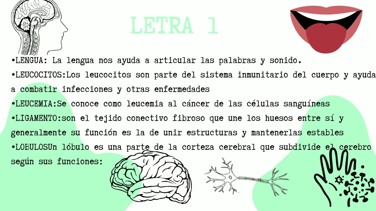 Glosario Anatomico.