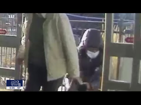 Purse snatcher targeted 81-year-old woman at St. Paul store | FOX 9 KMSP