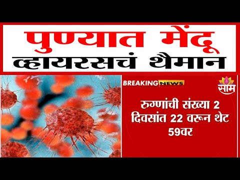 पुण्यात मेंदू व्हायरसचं थैमान | Brain Virus In Pune | Pune News