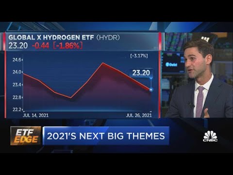 Here are 2021's next big themes: Two pros