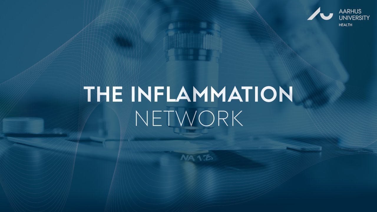 The Inflammation Network