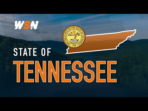 Tennessee Online Sports Betting Explained: Legal TN Sportsbook Apps