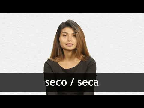 English Translation of “SECO” | Collins Spanish-English Dictionary