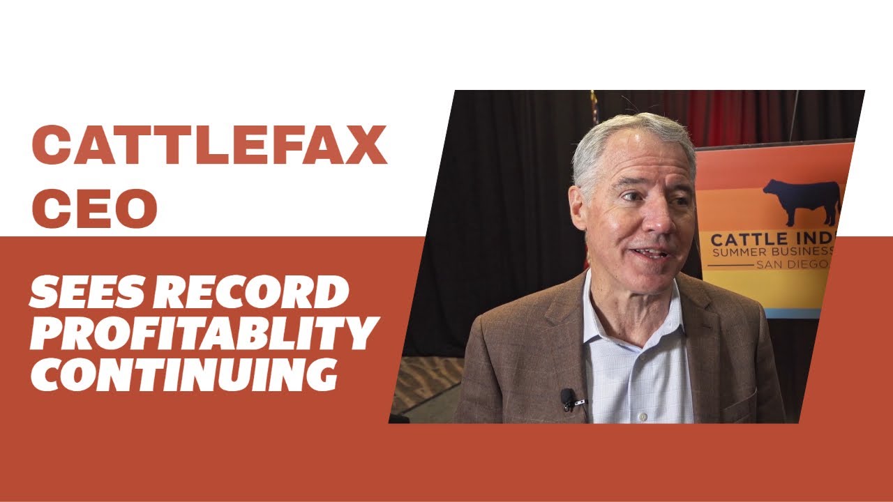 CattleFax CEO Sees Record Profitability Continuing