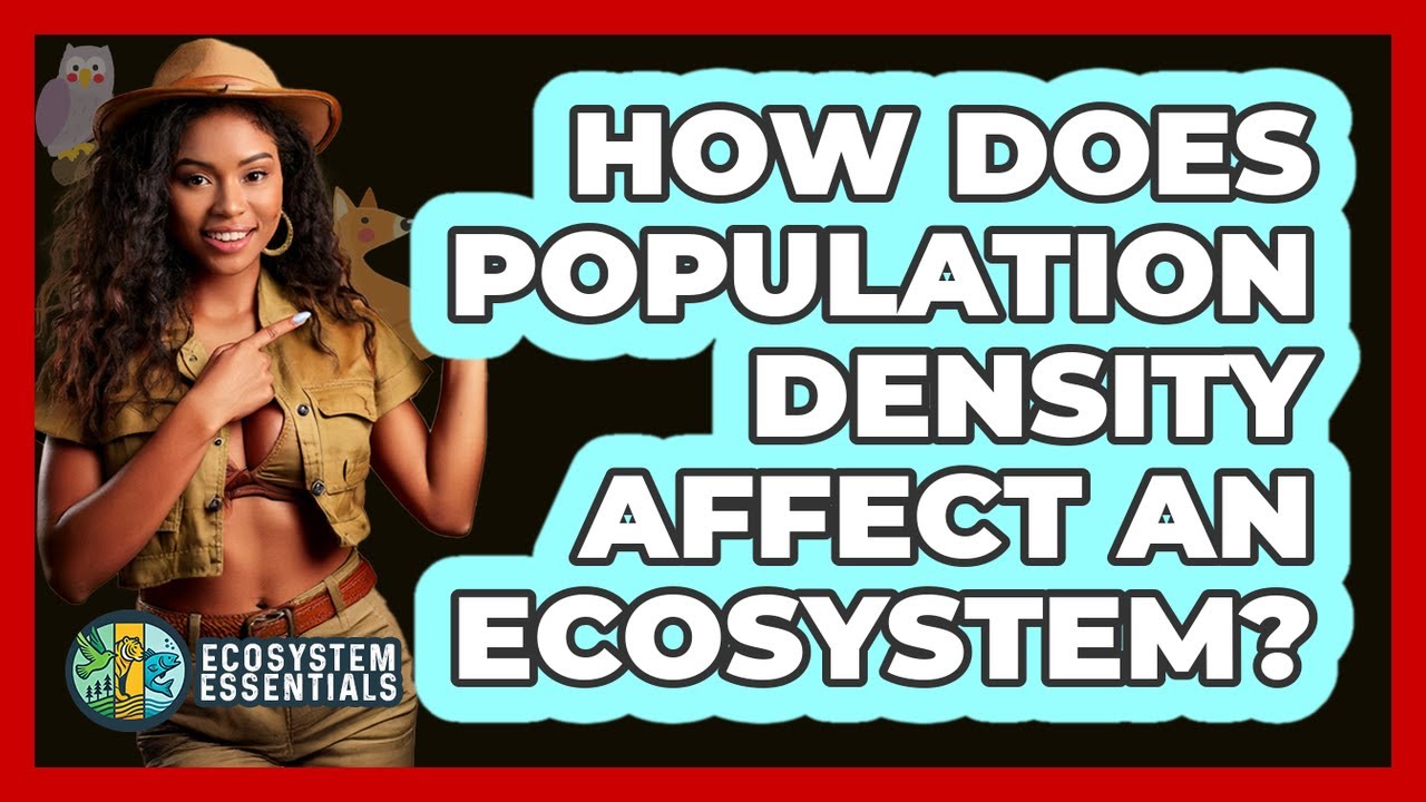 How Does Population Density Affect an Ecosystem?
