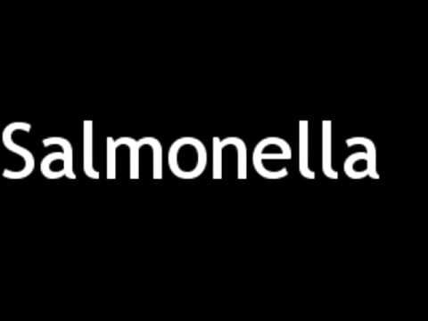 How To Pronounce Salmonella