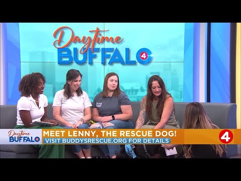 Daytime Buffalo: Meet Lenny the rescue dog from Buddy's Second Chance Rescue