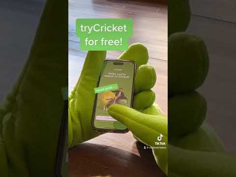 Try Cricket!
