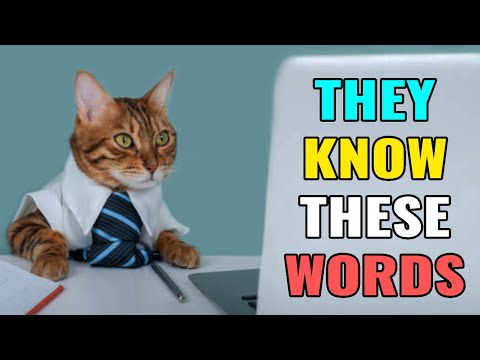 6 Words Your Cat Actually Understands (According to Science)