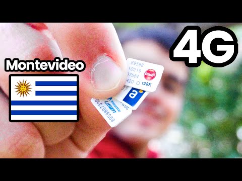¿Cuál es LA MÁS RÁPIDA en Uruguay? 🚀🇺🇾