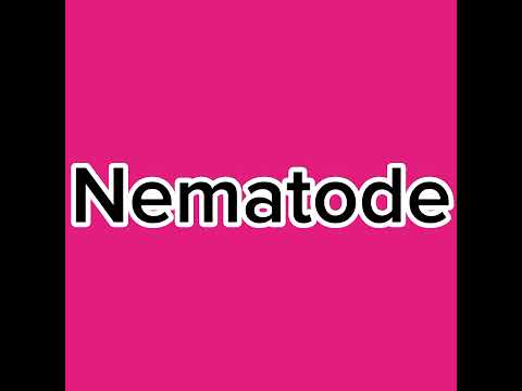 How to pronounce Nematode😍 #nematology #nematode #english #pronunciation #englishspeaking #spelling