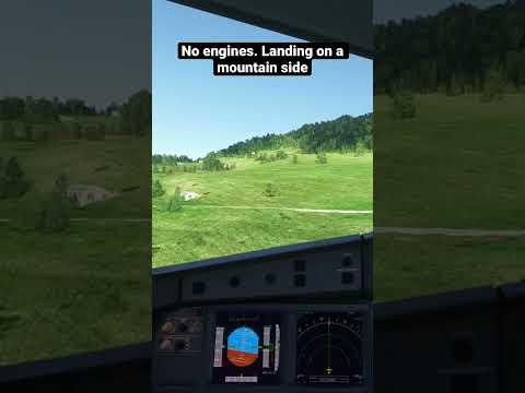 No engines #shorts #ytshorts #aeroplane #msfs2020 #airindia #a320 #airbus