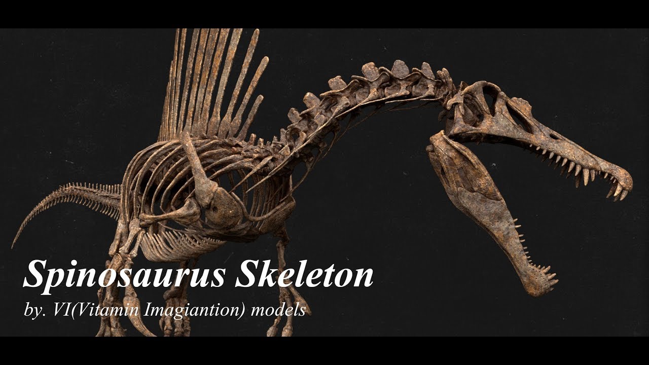 Spinosaurus Skeleton 2018 by. VI(Vitamin Imagination) models