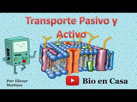 TRASPORTE PASIVO Y ACTIVO a través de la membrana plasmática