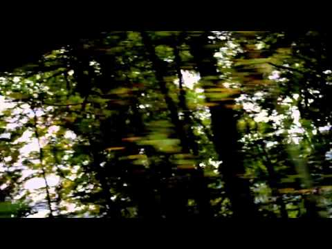 fostera videoedit