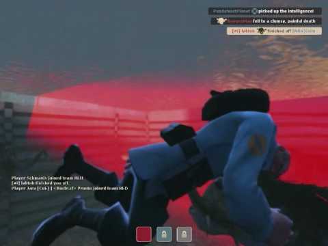 Steam Community :: Video :: TF2: Armageddon Cat - RUN!