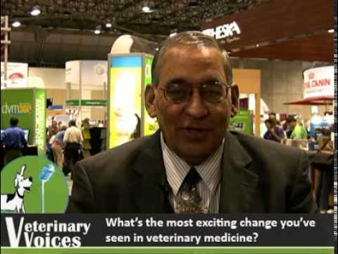 What's the most exciting change you've seen in veterinary medicine?