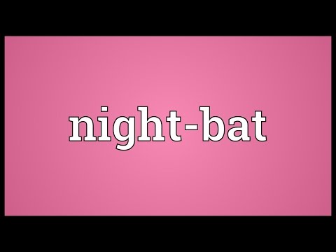 Night-bat Meaning