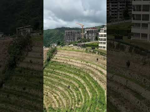 Twin Lakes Hotel, Tagaytay #viral #tagaytay #viralvideo #lovethephilippines #philippines #hotel