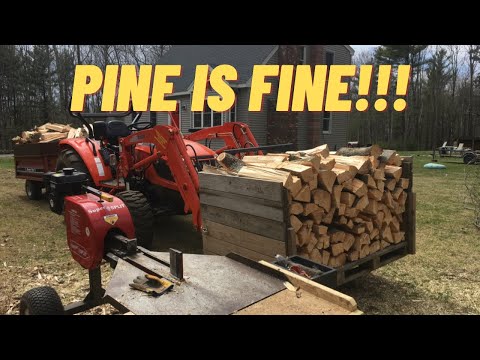 This firewood myth NEEDS to STOP!