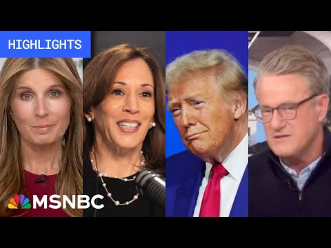 Countdown to the 2024 election: Day 20 | MSNBC Highlights