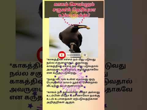 காகம் சொல்லும் சகுனம் தெரியுமா உங்களுக்கு?/Velan Bakthi #shortsfeed #tamilshorts #shorts