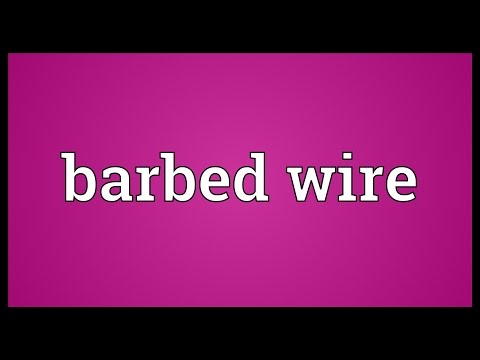 Barbed wire Meaning