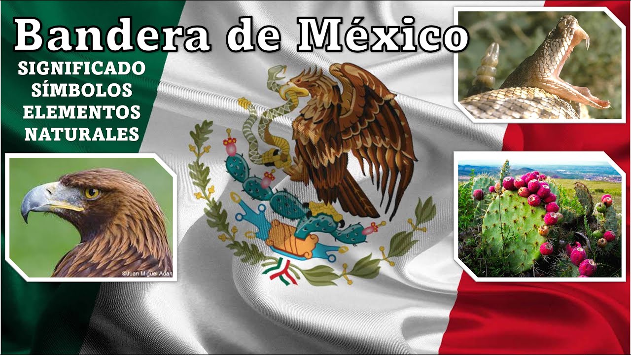 Meaning and Symbols of the Flag of Mexico and its Natural Elements 🇲🇽 4K