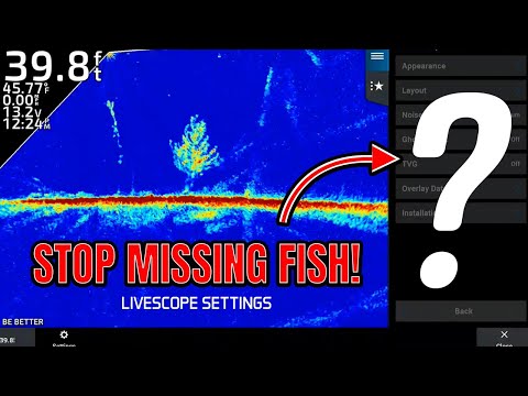 Is Your Livescope Costing You Fish? | In-Depth Livescope Settings