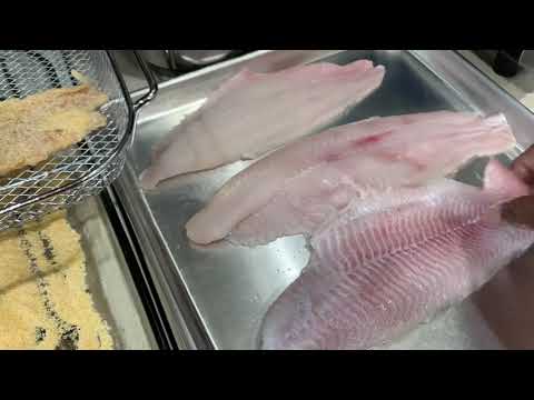 🤣 FIrst tIme AIrFryIng cat FIsh In Emeril Lagasse 360XL